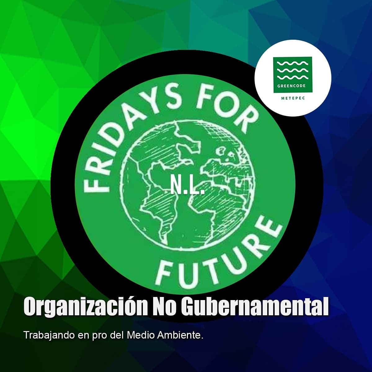Fridays For Future Nuevo León – GreenCode México